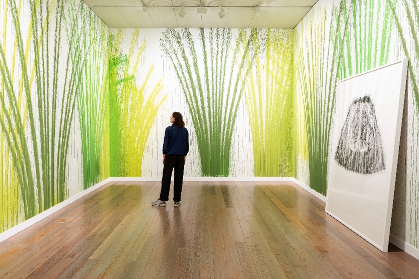 Delphine Reist. ÖL [oil, olio, huile] | Museum Tinguely Basel