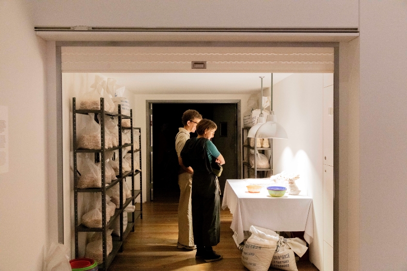 Mika Rottenberg | Museum Tinguely Basel
